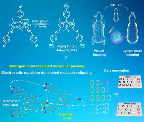 吸电子取代基增强j聚集态的近红外二区荧光用于活体成像与信息加密 X Mol资讯