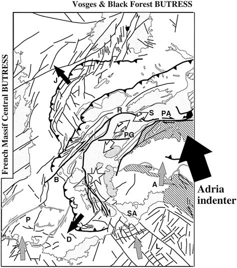 Kinematic Context Coexistence Of Shortening Extension And