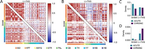 Brain Wide Functional Network Topology And Correlation Density Download Scientific Diagram