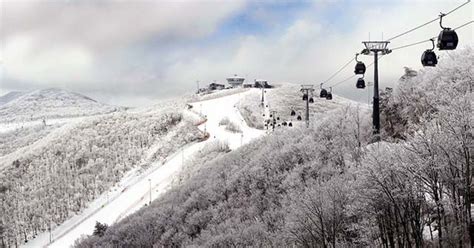 정선군 하이원 스키장 입구 한시적 일방통행
