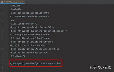 手把手教你写一个Java Agent实现免费激活 知乎