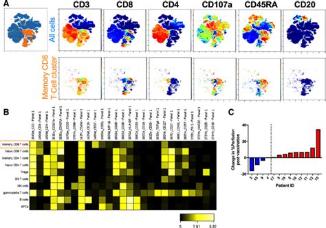 Identification Of Expanded Memory Cd8 T Cell Population Following Download Scientific Diagram