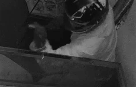 길가 화단 버려진 비닐봉지5000만원어치 금반지였다