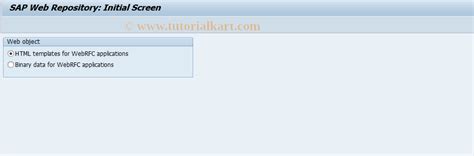 SMW SAP Tcode SAP Web Repository