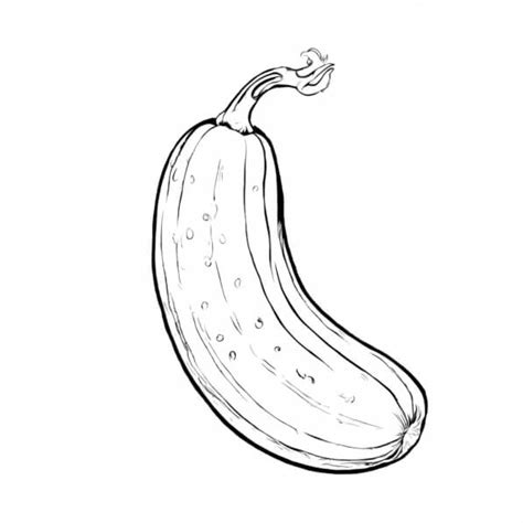 Download Hand Drawn Illustration Of A Cucumber Coloring Pages Online Creative Fabrica