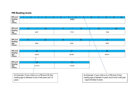 Pm And Probe Reading Level Chart
