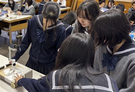 【高1sg物理基礎】problem Based Learningを実施（佼成学園女子中学高等学校） Netty Land（ネッティランド