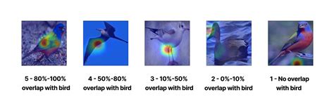 Improving Prototypical Part Networks With Reward Reweighing Reselection And Retraining Ai