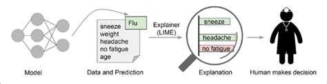 Lime Explaining Individual Predictions In The Medical Context Download Scientific Diagram