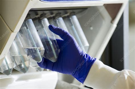 Dna Genotyping And Sequencing Stock Image C0386476 Science Photo Library