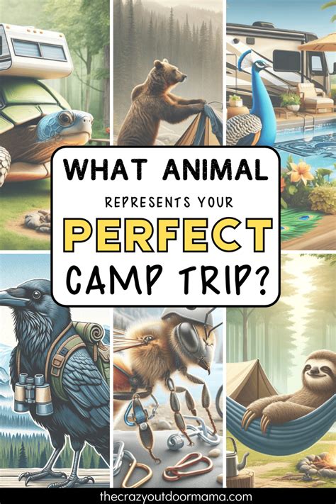 Find Your Camping Spirit Animal With This Fun Quiz The Crazy Outdoor