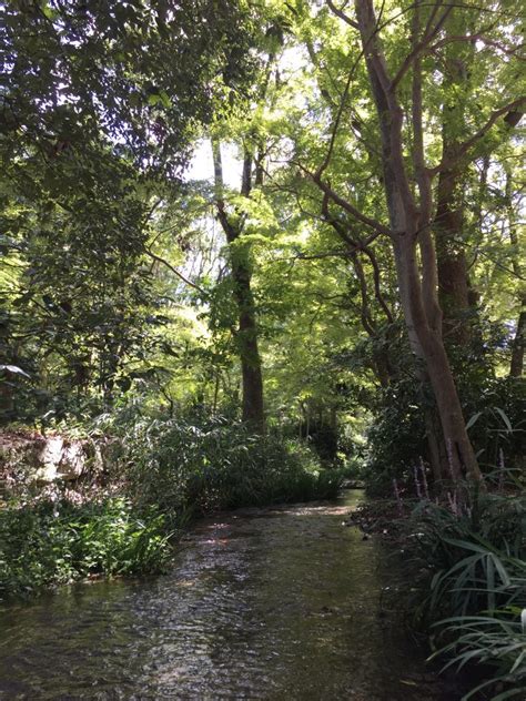 瀬見の小川 糺の森財団