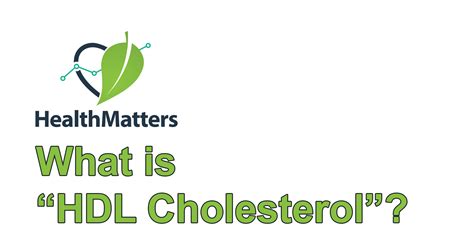 What Is HDL Cholesterol