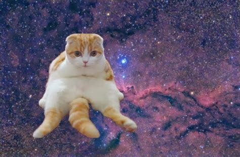 Monads With Scala And Cats 😼 In This Fourth Post We Delve Into A By Francisco Perrotta Medium