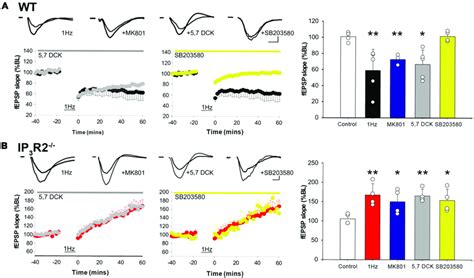 Lfs Induced Wt Long Term Depression And Ip 3 R2 Potentiation Is Download Scientific Diagram