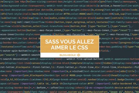 Sass Vous Allez Aimer Le Css Les Chroniques De Jean Pierre Loup