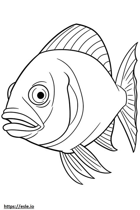 Xiphactinus Face Coloring Page