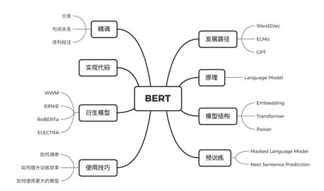 Bert原理、代码、相关模型、精调技巧，看这个就够了 Csdn博客