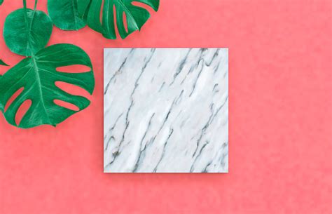 열대 야자수 잎과 여름 생생한 색상 배경에 자연 빈 큐브 상자 화장품 디스플레이용 플랫 레이 맨 위 보기 여름에 대한 스톡 사진 및 기타 이미지 Istock