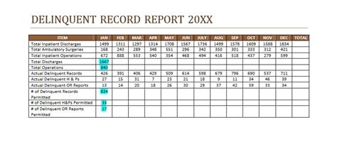 Create Delinquent Record Report Tableusing Microsoft Excel Input The