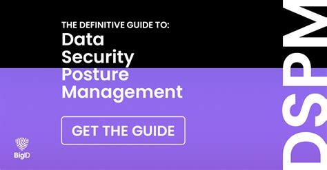 Navigating The Ai Landscape A Security Professionals Guide To Enhancing Data Security Posture