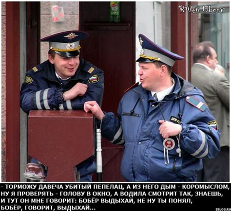 Приколи картинки відео приколи смішні історії та анекдоти