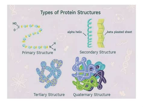 Protein Folding Pptx