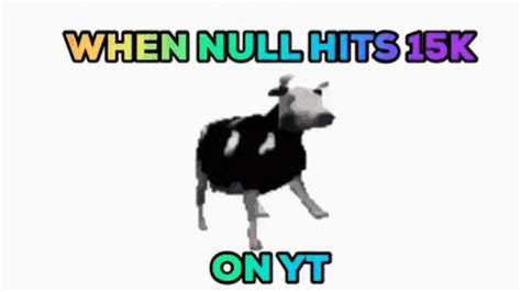 Null When  Null When Hits Discover And Share S