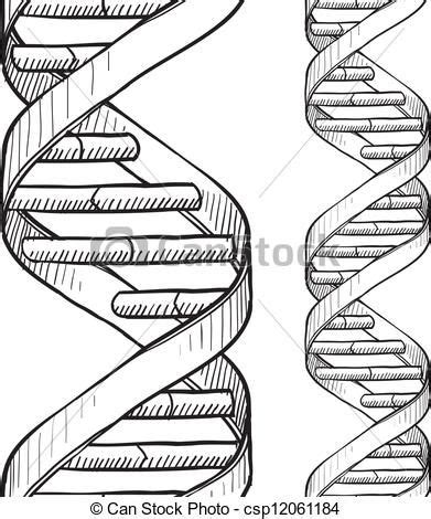 How To Draw Dna Double Helix Structure Yahaira Aldridge