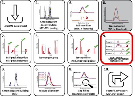 Iin With Mzmine2 Gnps Documentation