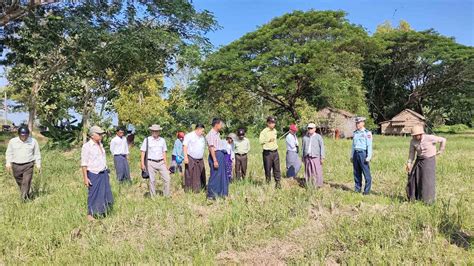 ဝါးခယ်မမြို့နယ်၌ ဆီထွက်သီးနှံများစိုက်ပျိုးနိုင်ရေး ကွင်းဆင်းဆောင်ရွက