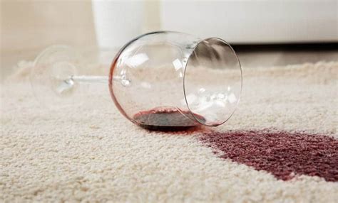6 Common Carpet Stains And How To Remove Them NCCA