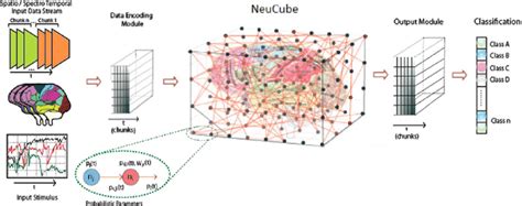 A Schematic Representation Of The Snn Based Neucube Architecture Download Scientific Diagram