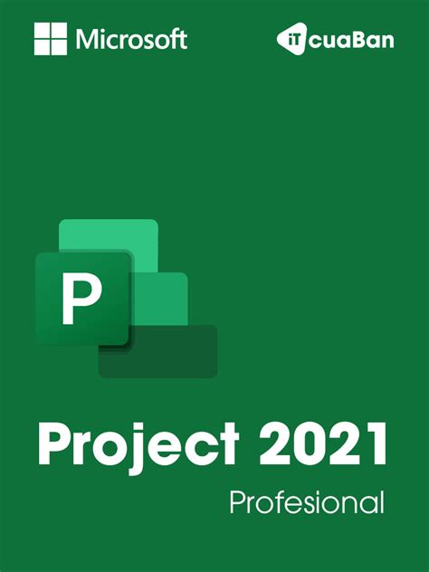 ms project 2021 2019 2016 professional