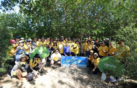 ทิพยประกันภัย ร่วมอนุรักษ์ ฟื้นฟูระบบนิเวศทางทะเล คืนสมดุลให้สิ่งแวดล้อม ในโครงการ ทิพยสืบสาน