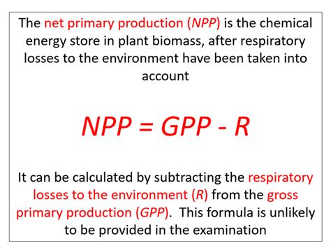 Gpp Npp And N Aqa A Level Biology Teaching Resources
