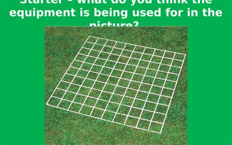 Quadrat Sampling Teaching Resources