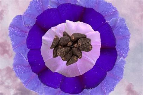 How To Navigate Sex On Molly DoubleBlind Mag