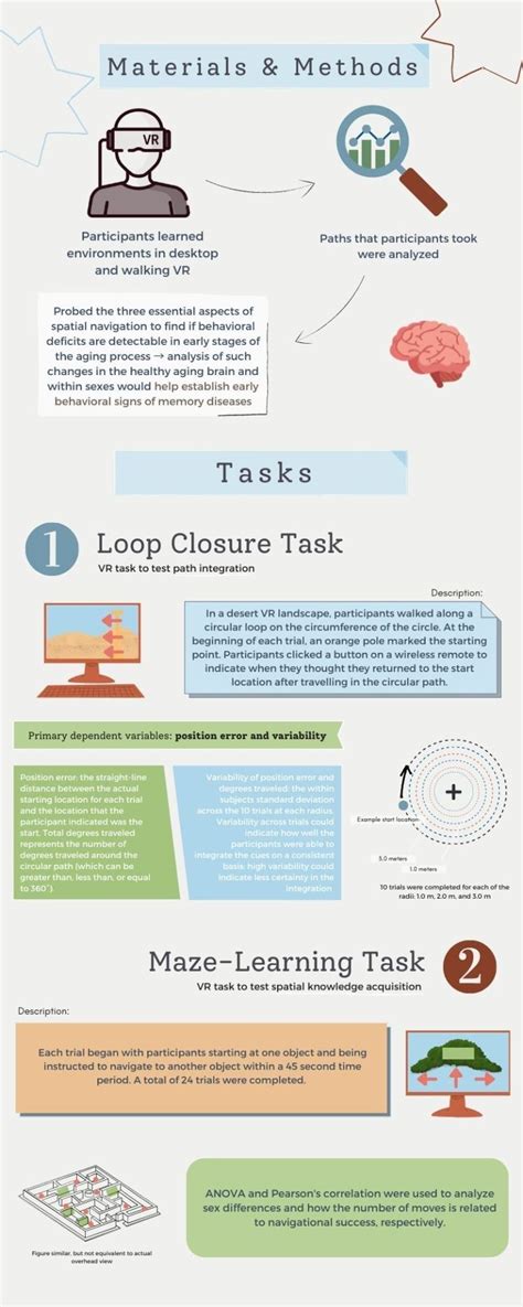 Spatial Navigation Sex Hormones And The Aging Brain
