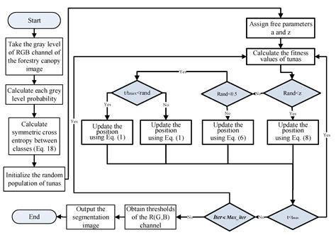 Forestry Canopy Image Segmentation Based On Improved Tuna Swarm
