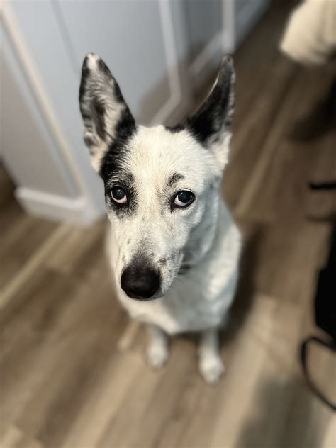 Portrait Mode Album On Imgur