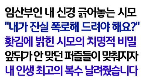실화사연 임산부인 내 신경 긁어놓는 시모 홧김에 밝힌 시모의 치명적 비밀 앞뒤가 안 맞던 퍼즐들이 맞춰지자 내 인생 최고의 복수 날려줬습니다ㅣ라디오드라마ㅣ사이다사연ㅣ
