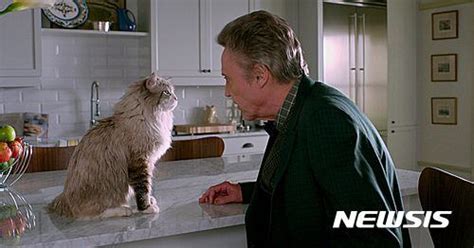 눈 떠보니 야옹~…억만장자 Ceo 미스터 캣