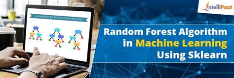 Learn And Build Random Forest Algorithm Model In Python Intellipaat