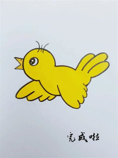 小鸟简笔画彩色简单图文（汇总11张） 简笔画图片大全