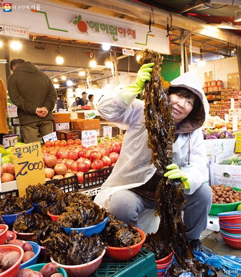 서울시 내 손안에 서울