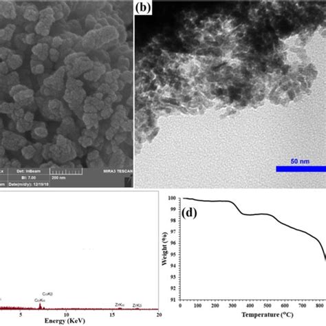 A Fe Sem And B Tem Images And C Edx Spectrum And D Tga Curve Of Download Scientific Diagram