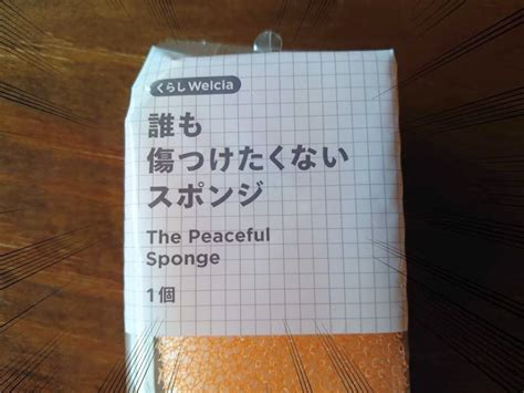 「誰も傷つけたくないスポンジ」 想像ふくらむ商品名にツイッター大盛りあがり 広報さんに由来を聞いてみた マイナビニュース