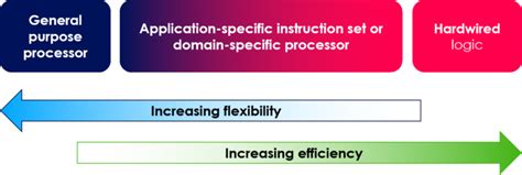 Domain Specific Accelerators For Risc V