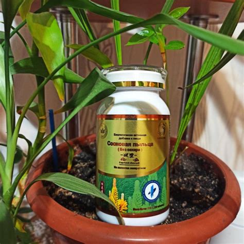 Пыльца сосны купить в Волжском цена 2 250 руб дата размещения 11 06 2024 Товары для здоровья